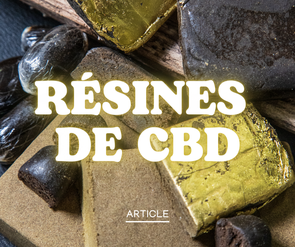 RÉSINES de CBD – Fedora420